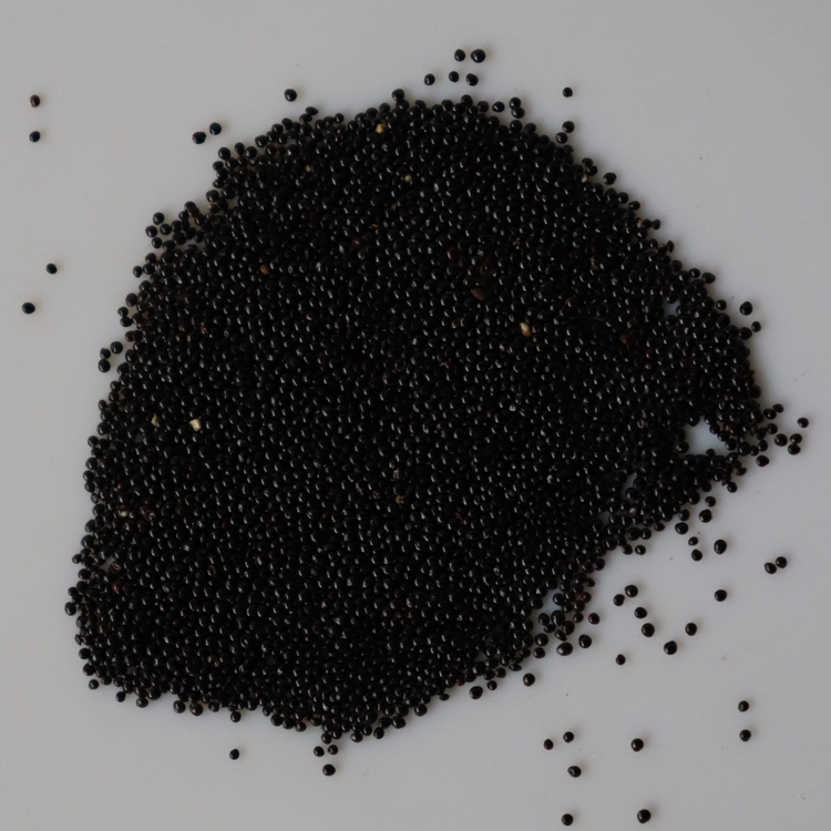 Organic Milk Spinach Seeds Open Pollinated Seed2plant